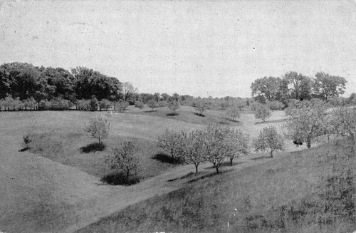 Sodus Michigan Tabor Farm Scenic View Antique Postcard K106250 | eBay