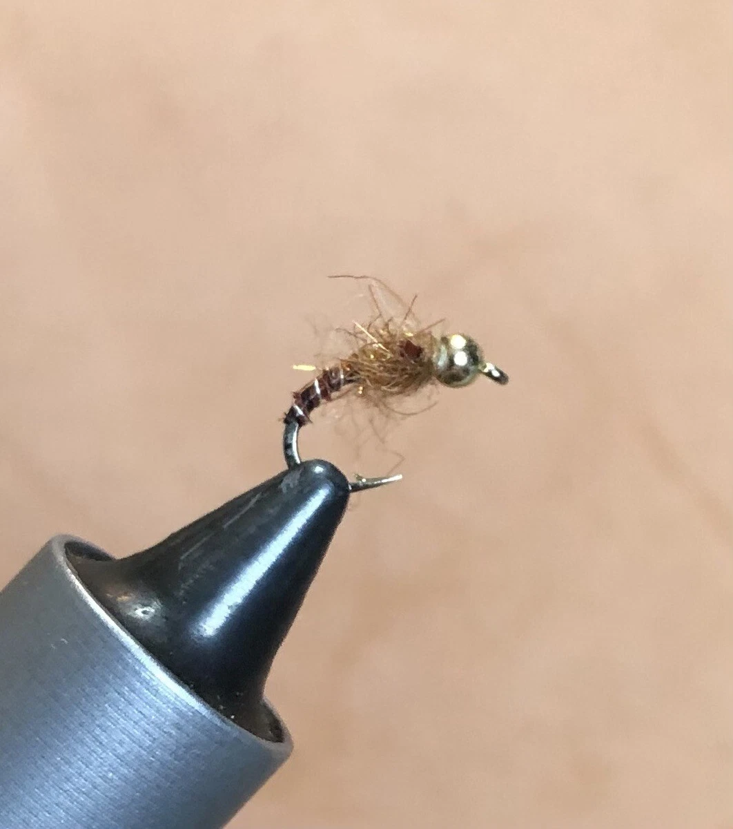 Midge Pupa
