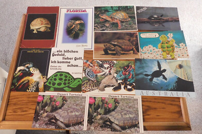 12 assorted postcards with Turtles Tortoises 1-used | eBay