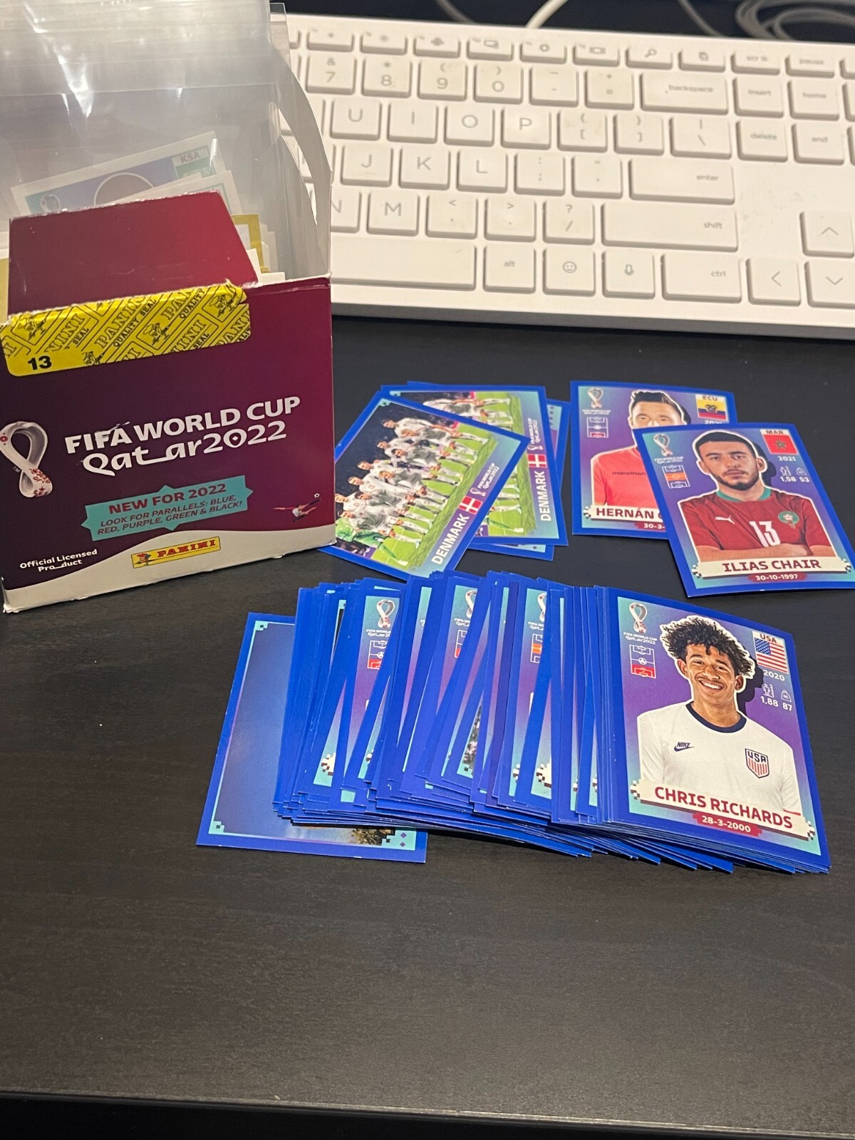 2022 Panini Stickers FIFA Soccer World Cup QATAR Pick ANY BLUE BORDER ...