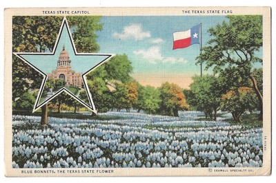 Texas c1940's Blue Bonnets, State Flower, State Flag, State Capitol ...