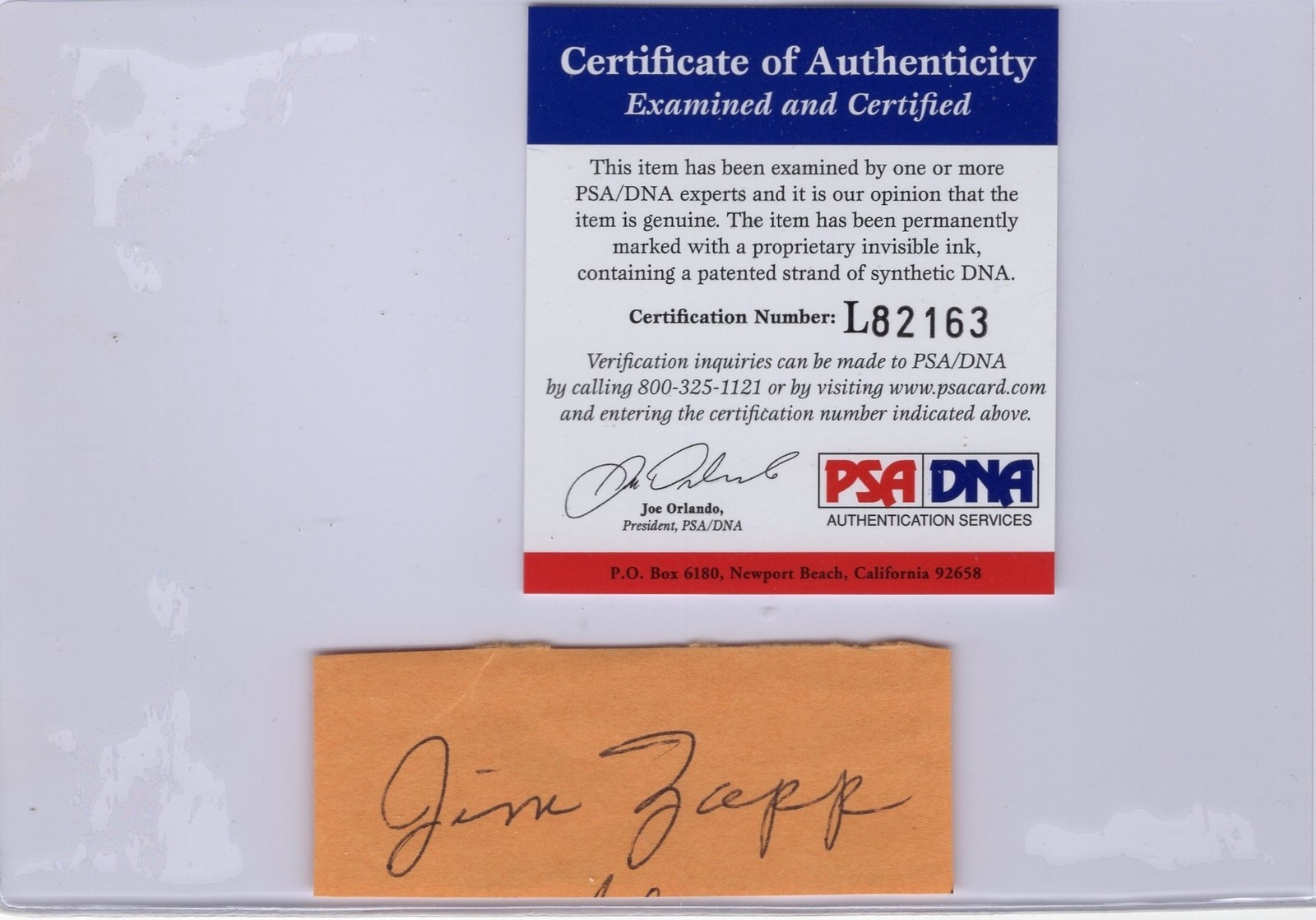 JIM ZAPP PSA/DNA AUTO CUT SIGNATURE AUTOGRAPH - NEGRO LEAGUES - T800 | eBay