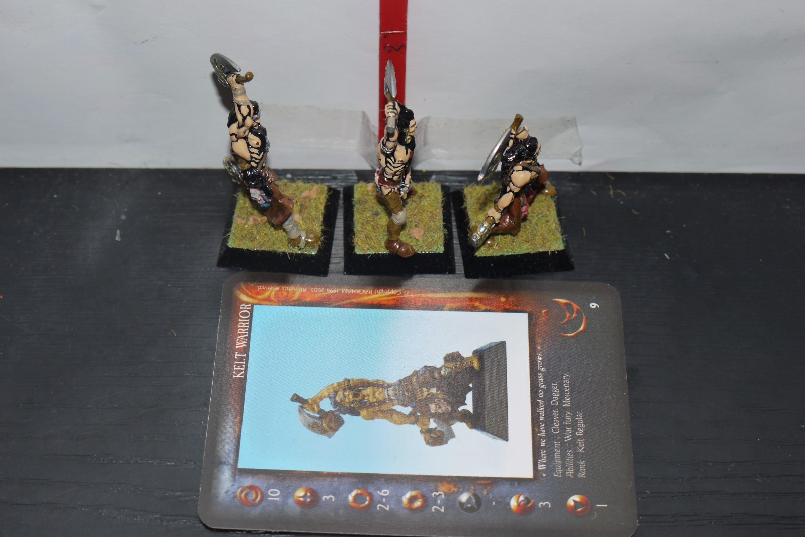 Rackham Confrontation KELTOIS KELT WARRIOR mini FIGURES PAINTED | eBay