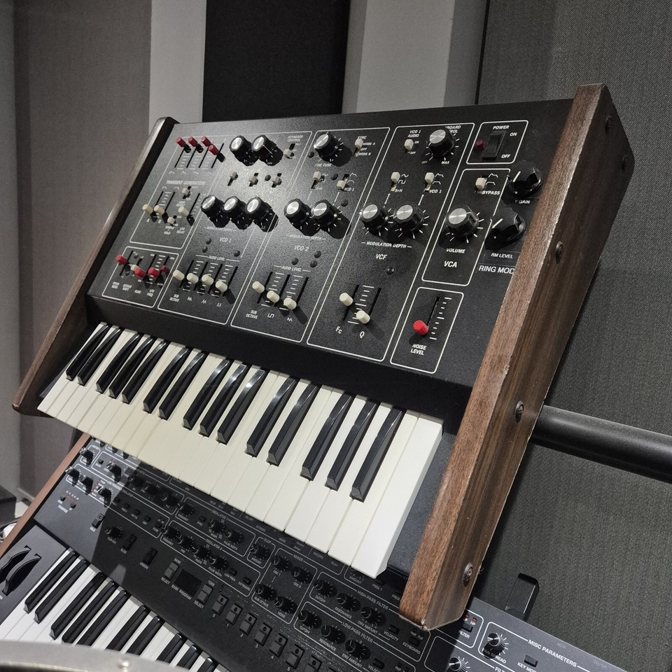 Octave Cat SRM II Analogue Synthesizer with Ring Mod !. Service for ...
