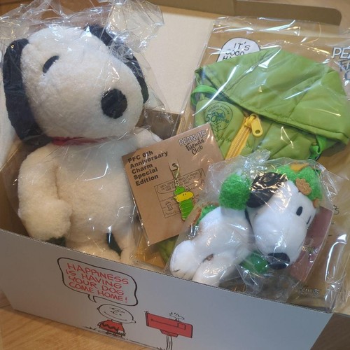 PEANUTS Snoopy Dress-up Plushie Set | eBay