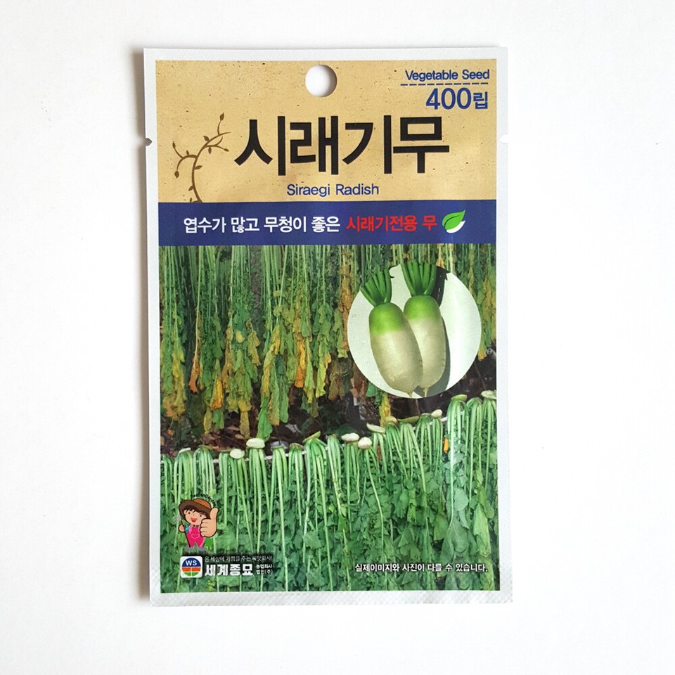 Korean Healthy Vegetable Lettuce, Sesame, Radish, Chives, Cirsium Seed ...