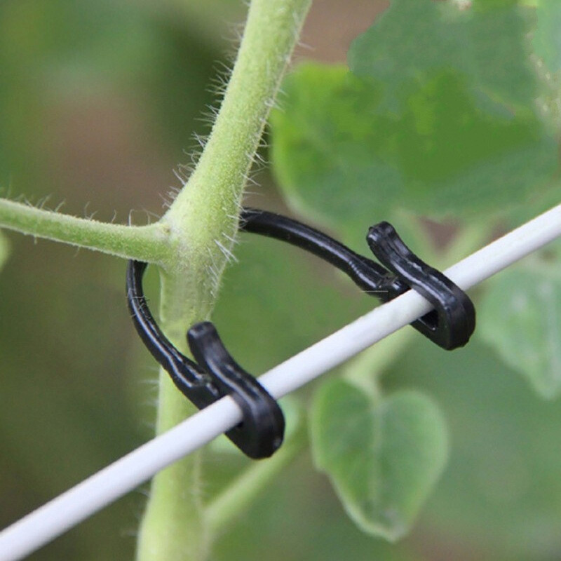 50Pcs U Type Tomato Clip Trellis Garden Vegetable Binder Twine Plant ...