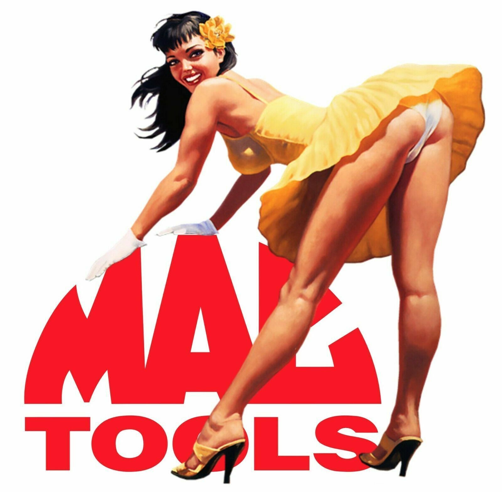 MAC TOOLS STICKER DECAL SEXY GIRL MECHANIC TOOLBOX SIGN CHEST USA | eBay