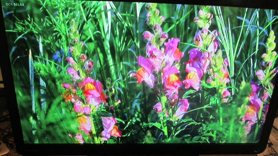 Toshiba 23L1350U 23-Inch Full HD 1080p 60Hz LED HDTV (3xHDMI) | eBay