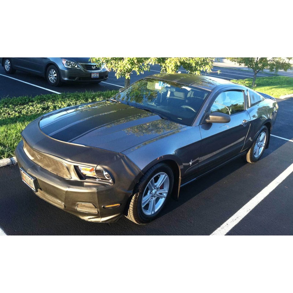 3M Eleanor Rally Racing Stripes for 2010-12 Ford Mustang 2010 2011 2012 ...