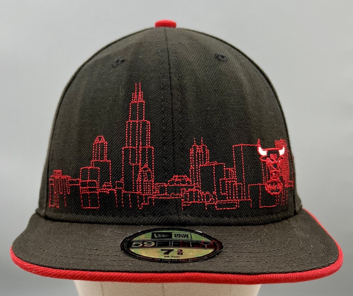 Chicago Bulls Skyline