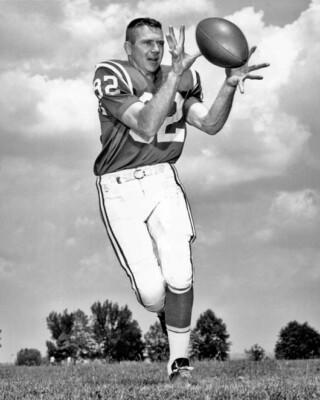 1967 Baltimore Colts RAYMOND BERRY Glossy 8x10 Photo Print Poster HOF ...