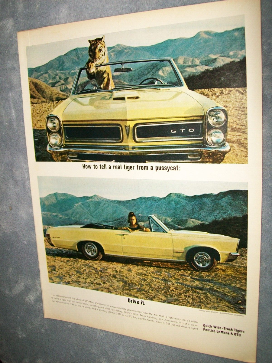 Pontiac Gto Tiger 1965 Eye Of The Tiger – 1965 Pontiac GTO