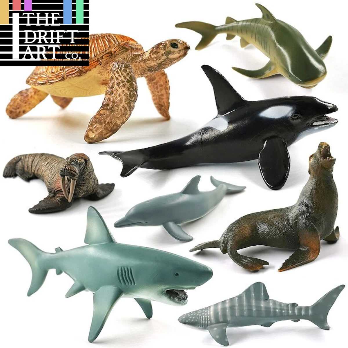 Walrus Vs Shark