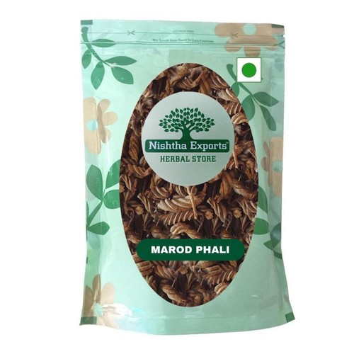 Helicteres Isora -Marod Phali - Maror Fali -Indian Screw -Raw herbs ...