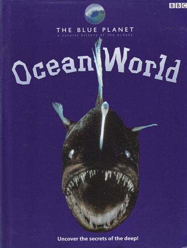DAVID ORME - Blue Planet: Ocean World (BBC) Large Hardcover ...