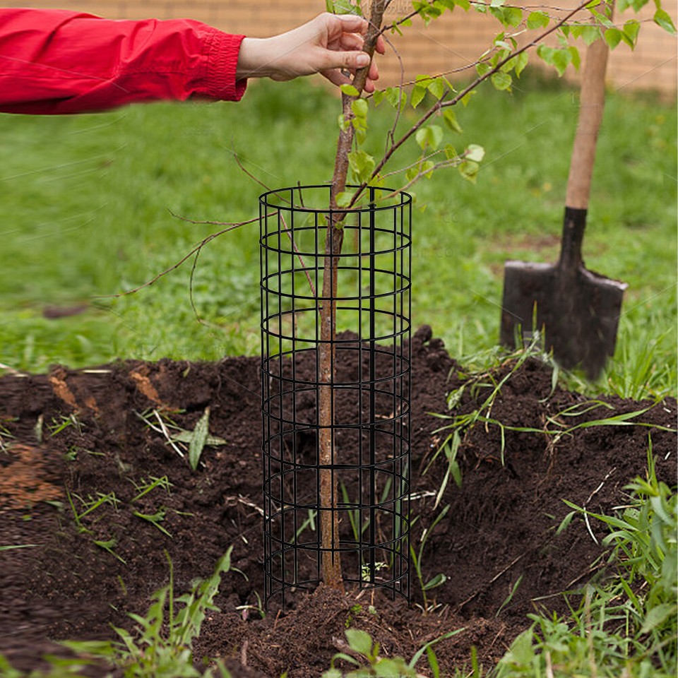 6 Pcs Tree Trunk Protector Tree Wrap Cage Tree Wraps for Damaged Bark ...