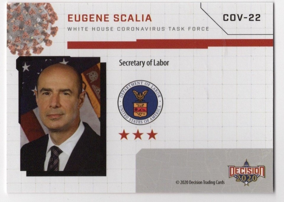 DECISION 2020 POLITICAL-WHITE HOUSE TASK FORCE COV-19 SER1 COV-22 ...