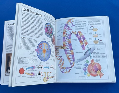 1998 DK ULTIMATE VISUAL DICTIONARY OF SCIENCE HARDCOVER | eBay