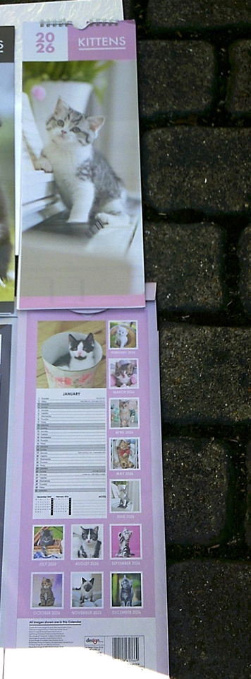 2026 Month To View Slim ONE BIG Column & 2 Columns Calendar Wall ...