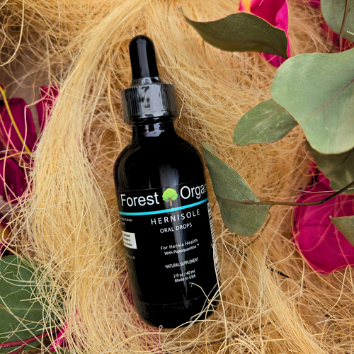 Natural Hernia Health Supplement:Hernia Support Belt with Muscle ...