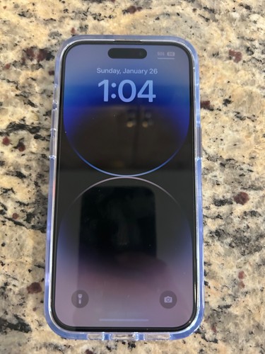 Apple iPhone 14 Pro - 256 GB - Silver US (Spectrum) | eBay