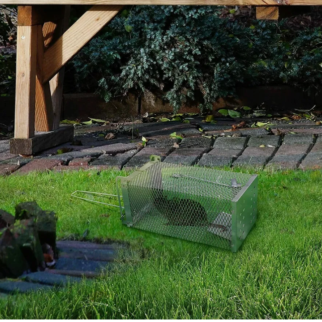 USA Mouse Trap Rat Trap Rodent Trap Live Catch Cage, Easy to Set Up and ...