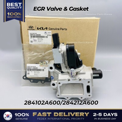 ⭐Genuine⭐ EGR Valve & Gasket 284102A600 for Hyundai Accent | eBay