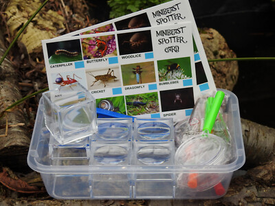 Mini Bug Hunting Set,Including Bug Pots & MiniBeast Spotter Sheets ...