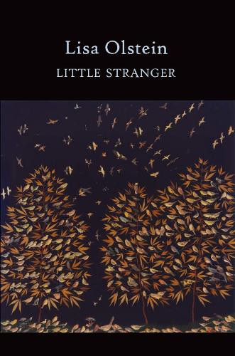 Lisa Olstein Little Stranger (Poche) 9781556594328 | eBay