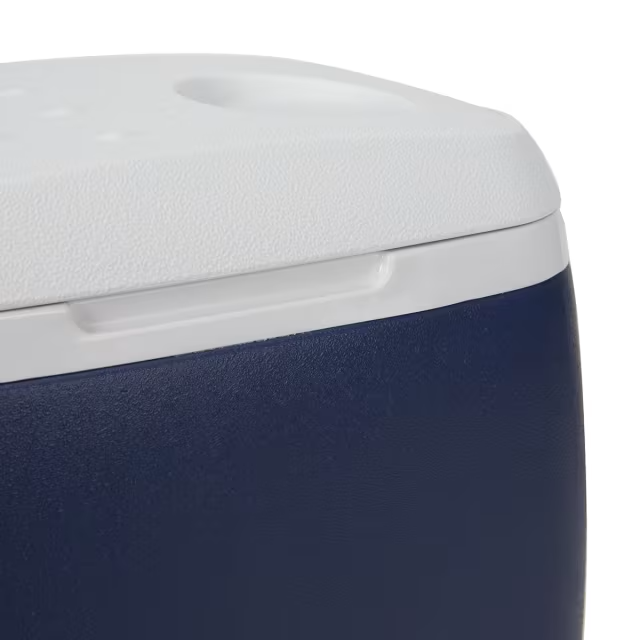 Esky 8L Hard Chilla Cooler Drinks Cans Bag ORIGINAL* | eBay Australia