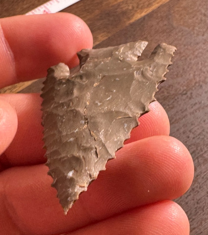 Colorado Corner Notch Point - Arrowhead - Excellent | eBay