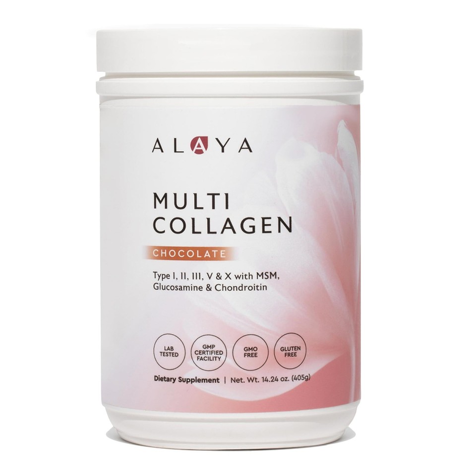 Alaya Naturals Multi Collagen Powder – Chocolate (Type I–X) with MSM ...