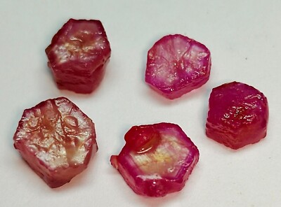 Natural Mozambique Silver Star Ruby Untreated Red Rough Loose Gemstone ...