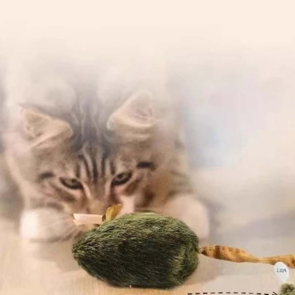 Bite Resistance Mouse Cat Toys Automatic Chirping Interactive Cat Toy ...