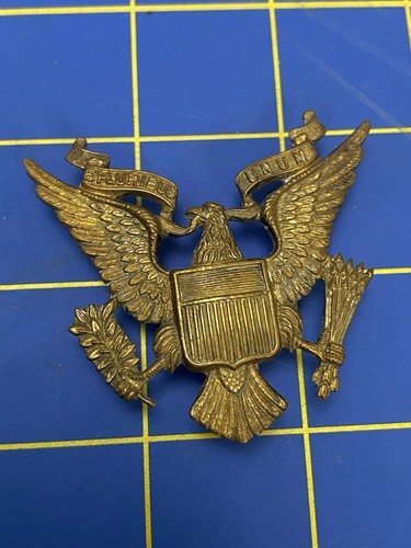 Vintage WW2 1st American Squadron Home Guard Cap Badge | eBay
