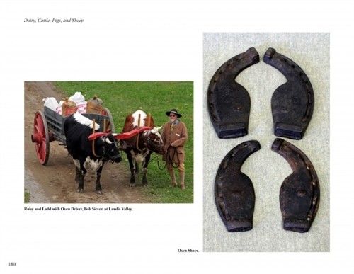 Antique Farm Tools Primitives Implements Devices & Equipment Collector ...