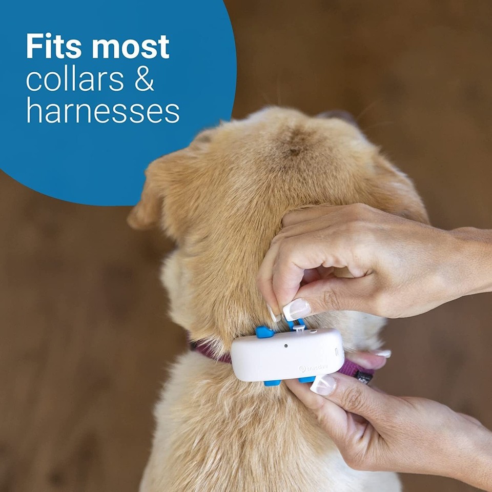 Tractive GPS Tracker for Dogs - Waterproof, GPS Location & Smart Pet ...