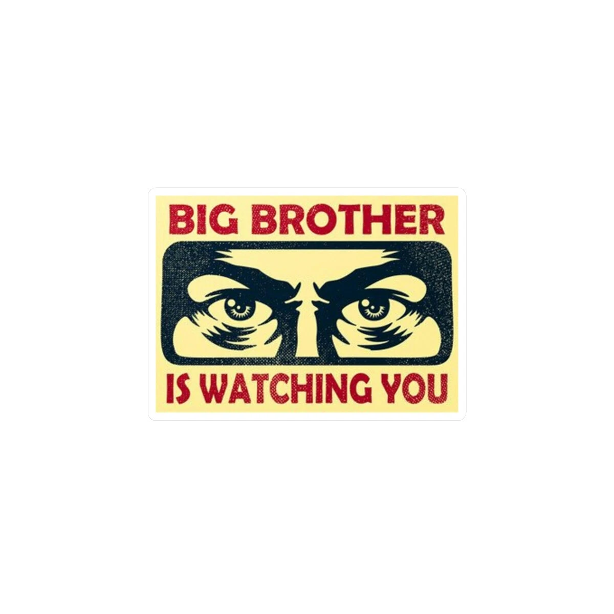 1984 Big Brother Novel