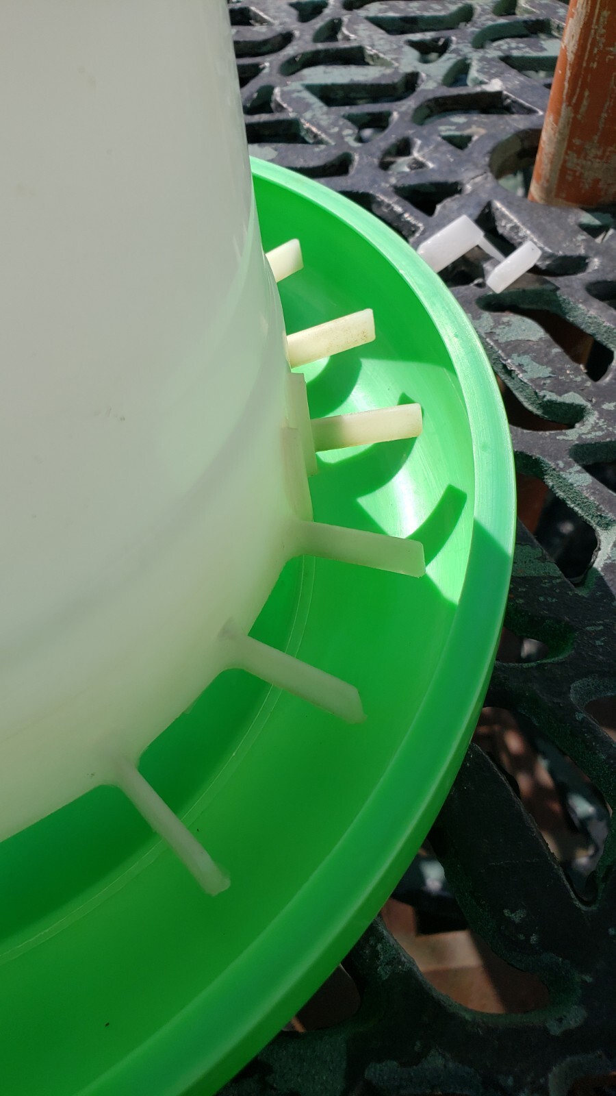 Large Seed Hopper | eBay UK