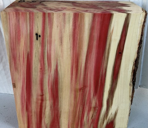 Flaming Red Box Elder Bowl Blank PenBlanks Fresh Cut Green 3 1/4”x7”x7 ...