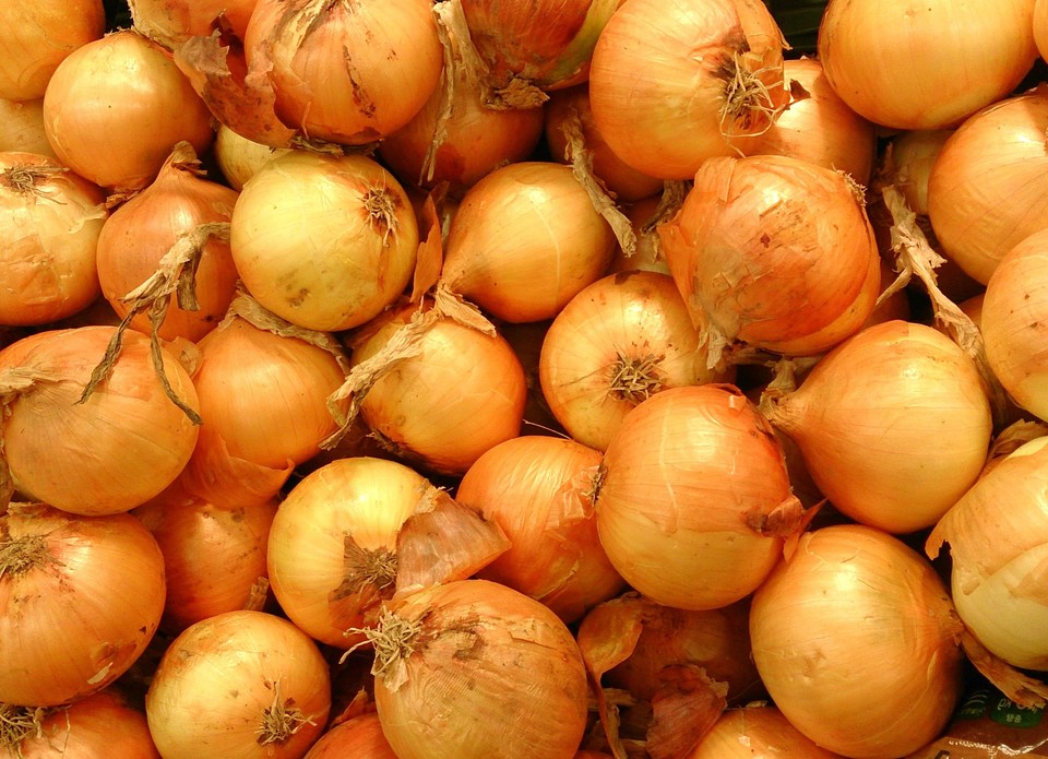 Texas 1015Y SuperSweet Onion Seeds - For 2026 Planting Official Texas ...