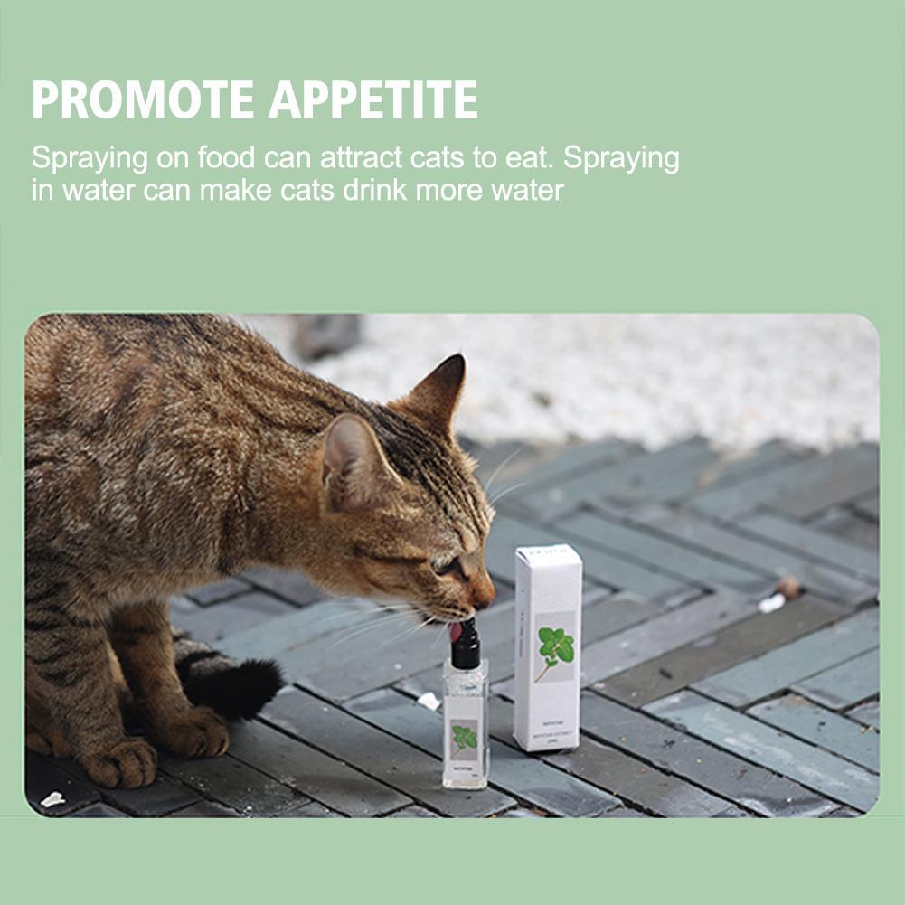 Herbal Cat Joy Spray, Celery Pets Catnip Spray Catnip Spray for Cat ...