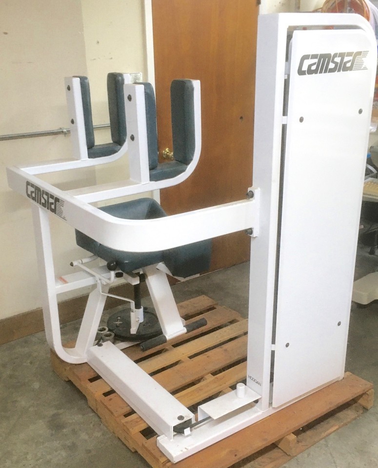 Hoggan Camstar Rotary Twist oblique exercise machine. GC, Free delivery ...