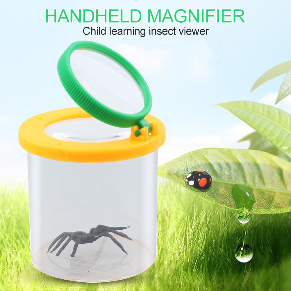Cylindrical Crawler Spider Insect Box Magnifying Glass Magnifier ...