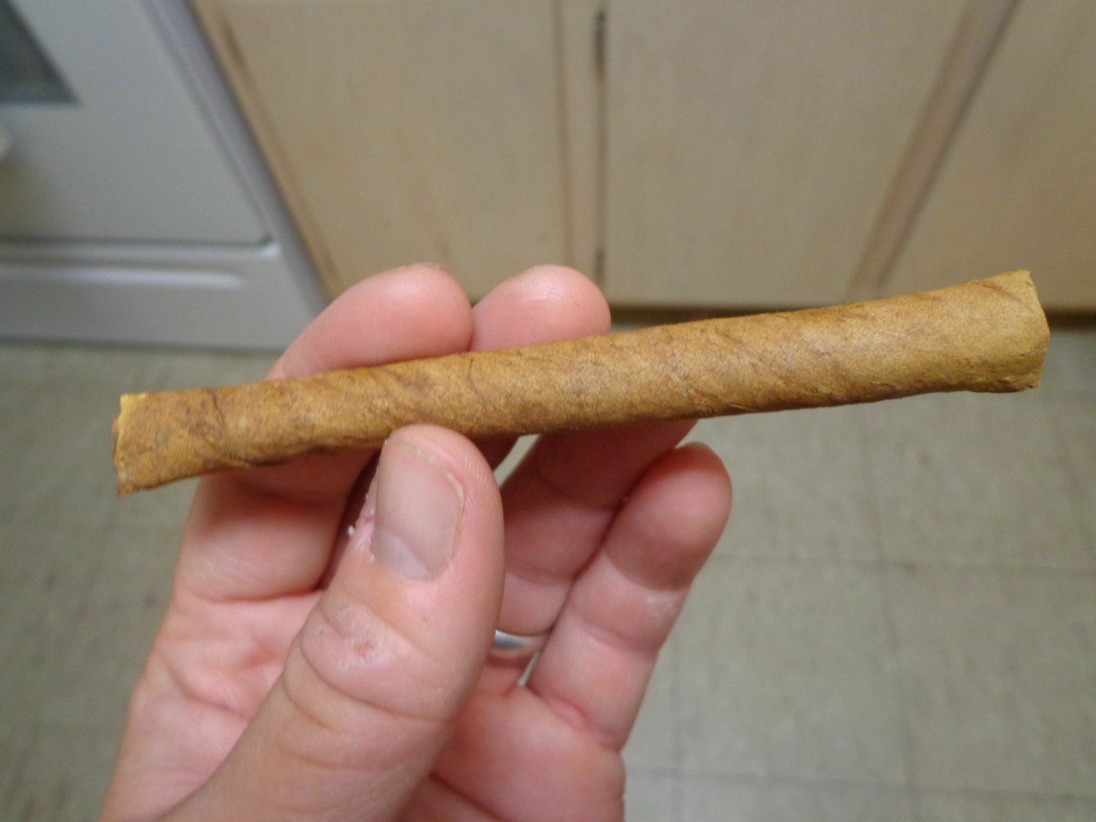 PA Broadleaf Cigar Tobacco Seed - 1,000+ Heirloom Seeds - Maduro ...