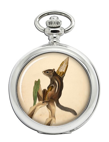 Chipmunk Pocket Watch | eBay