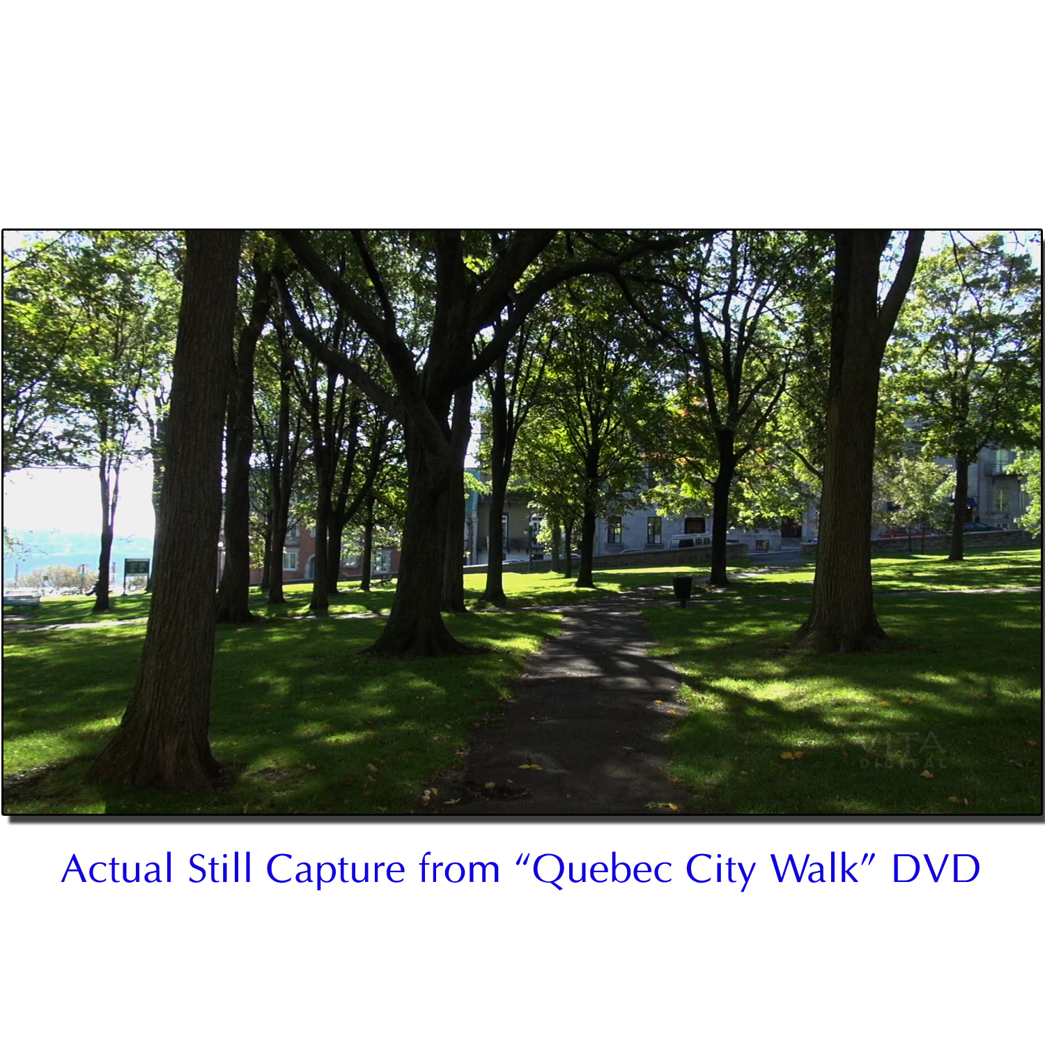 Scenic Virtual Travel Vita DVDs Quebec City Walking Tour Treadmill DVD ...
