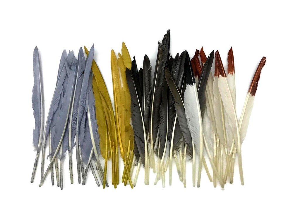 1 Pack - White Natural Duck Pointer Primary Wing Feathers Halloween ...