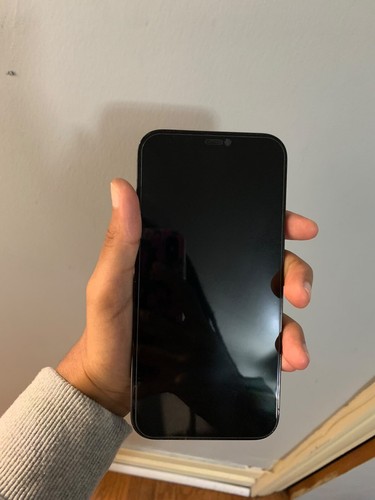 Apple iPhone 12 Pro Max - 128 GB - Pacific Blue (Boost Mobile) for sale ...